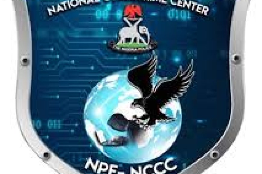NPF Cybercrime Unit Recovers N8Bn, Recognized as Best in Africa ...